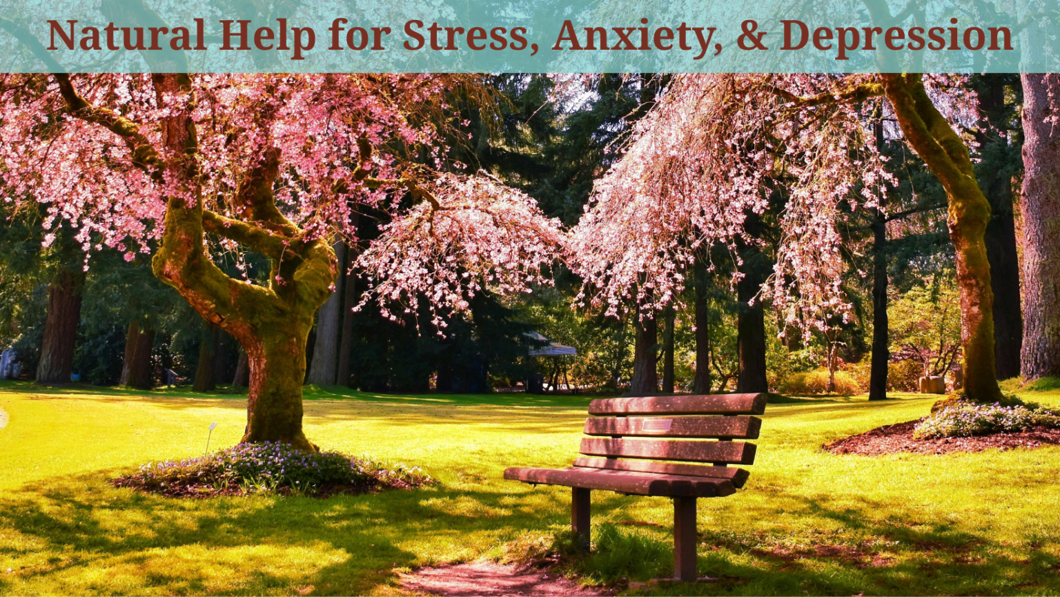 Stress, Anxiety, Depression - Thrive Acupuncture